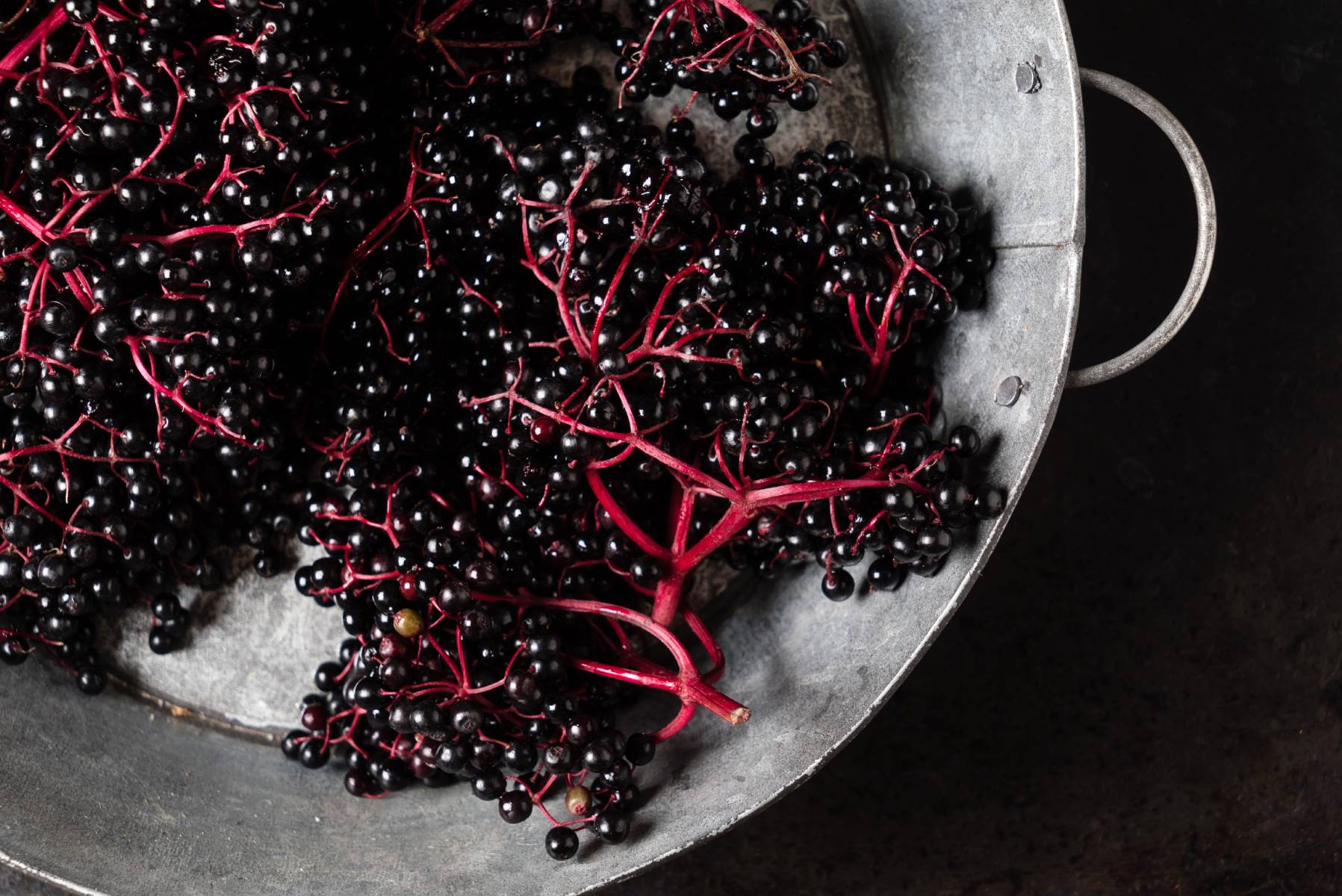 History, Uses, Myths, and Truths about the Elderberry – Videos – Mother ...
